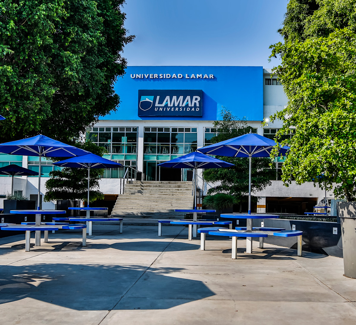 Live Digital Education - LAMAR Universidad